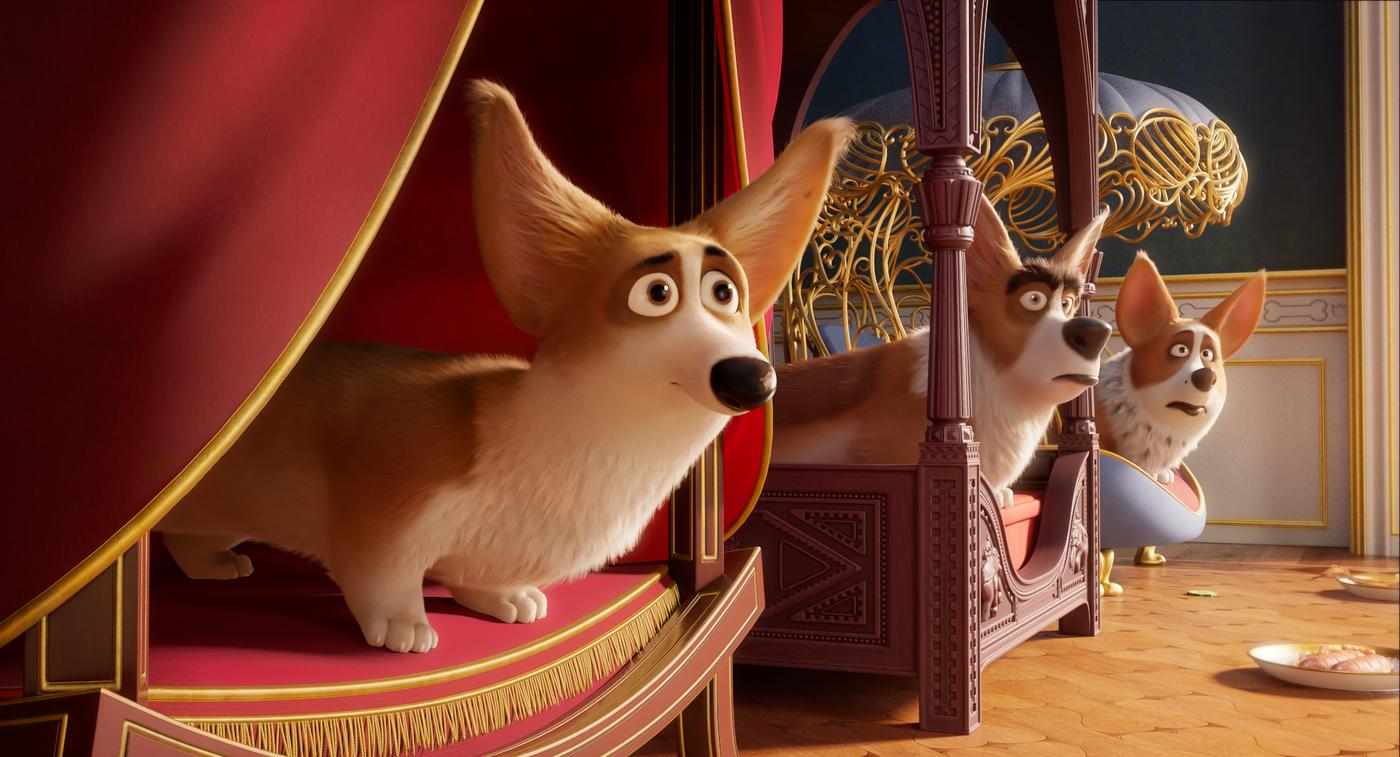 Royal Corgi | Starmovie